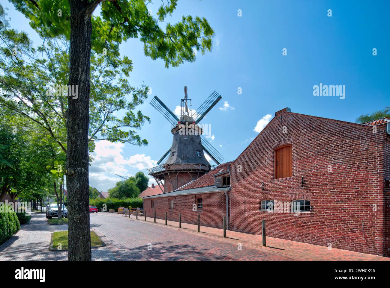 Slaughter mill, windmill, house facade, architecture, town view, Jever ...