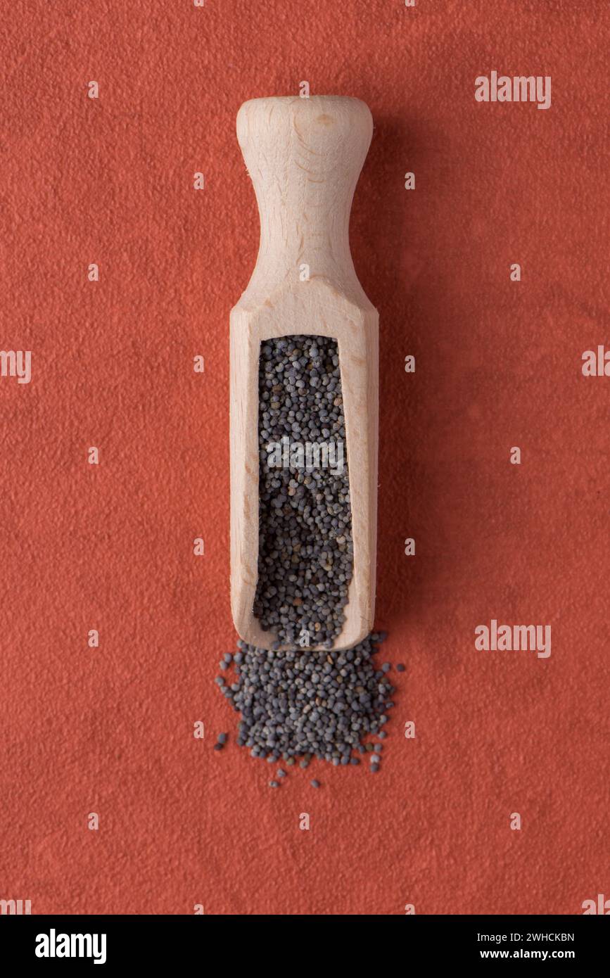 Circle of poppy seeds Stock Photo - Alamy