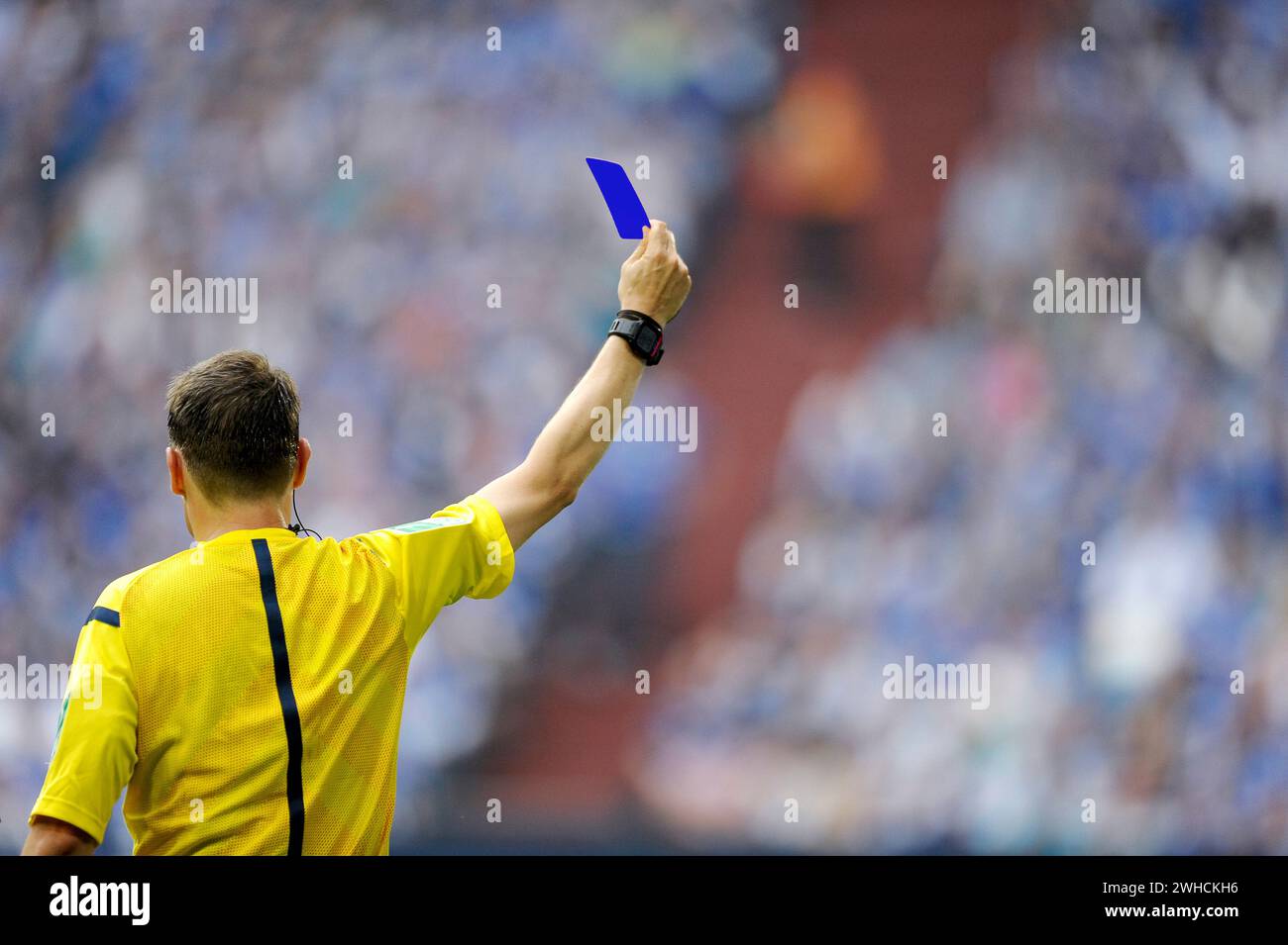 Football: Referee shows the blue card [M], symbolic image. According to ...