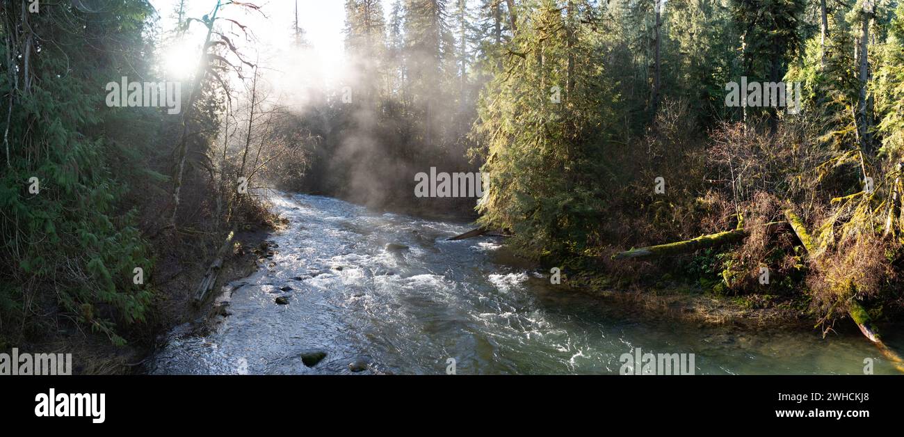 Sunlight illuminates river flows through hi-res stock photography and ...