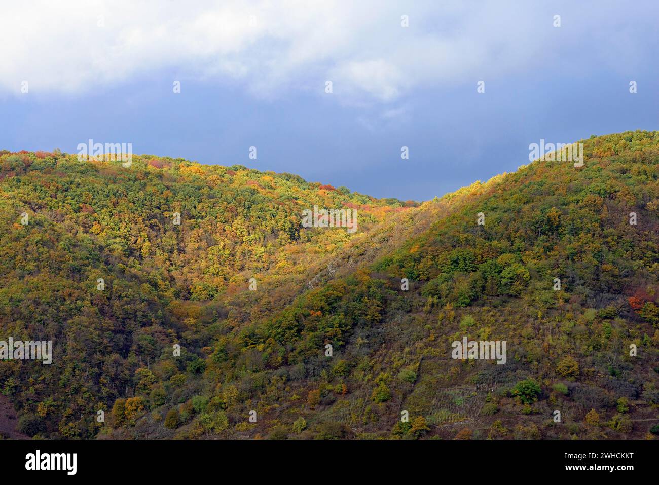 Moselle heights hi-res stock photography and images - Alamy