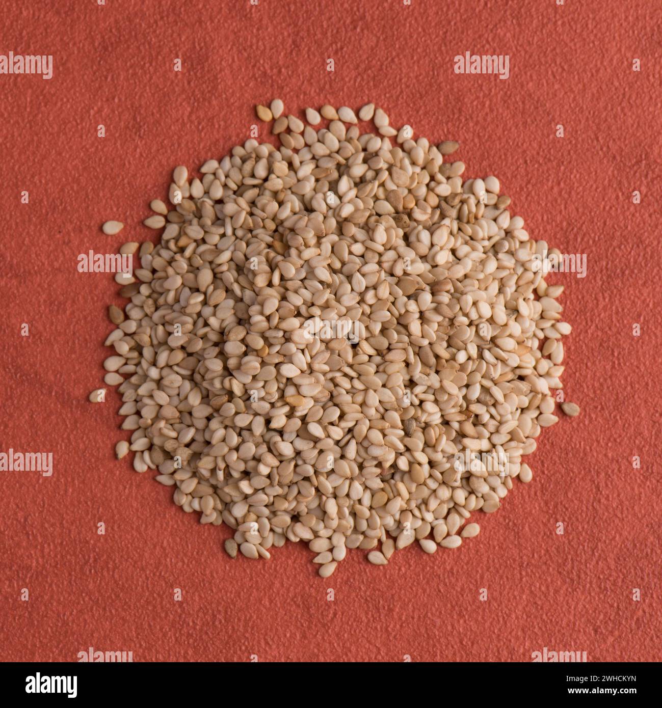Circle of sesame seeds Stock Photo - Alamy