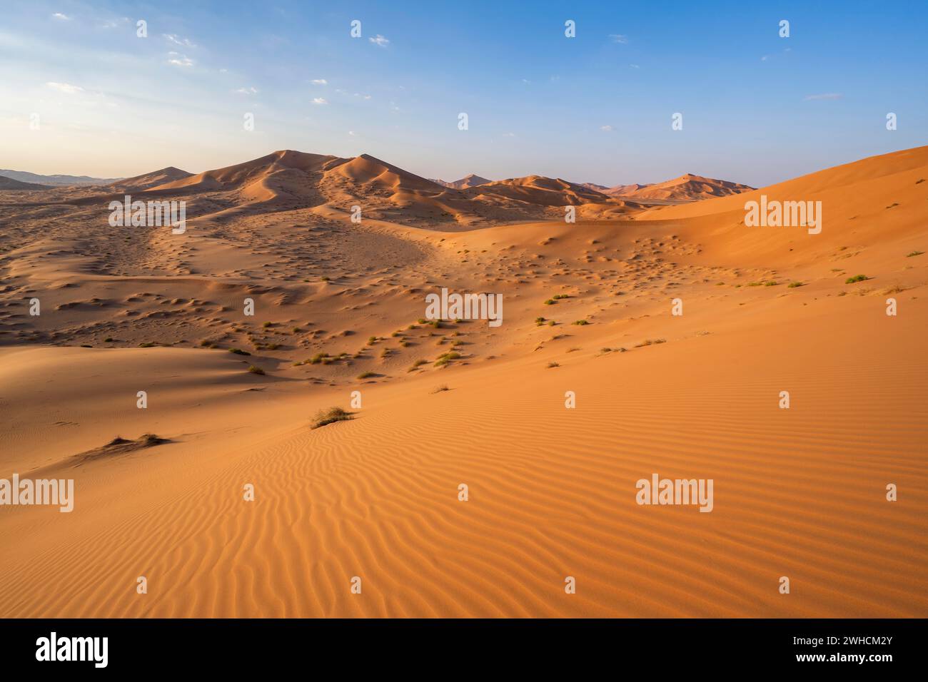 Sand dunes in the Rub Al Khali desert, the world's largest sand desert ...