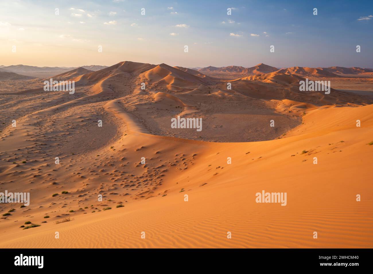 Sand dunes in the Rub Al Khali desert, the world's largest sand desert ...