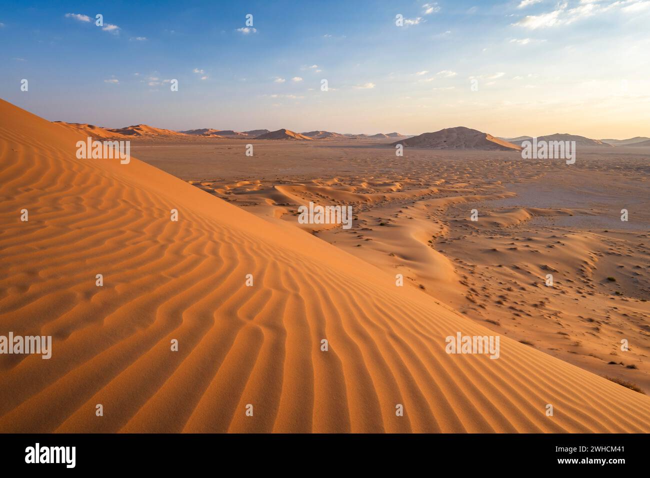 Sand dunes in the Rub Al Khali desert, the world's largest sand desert ...