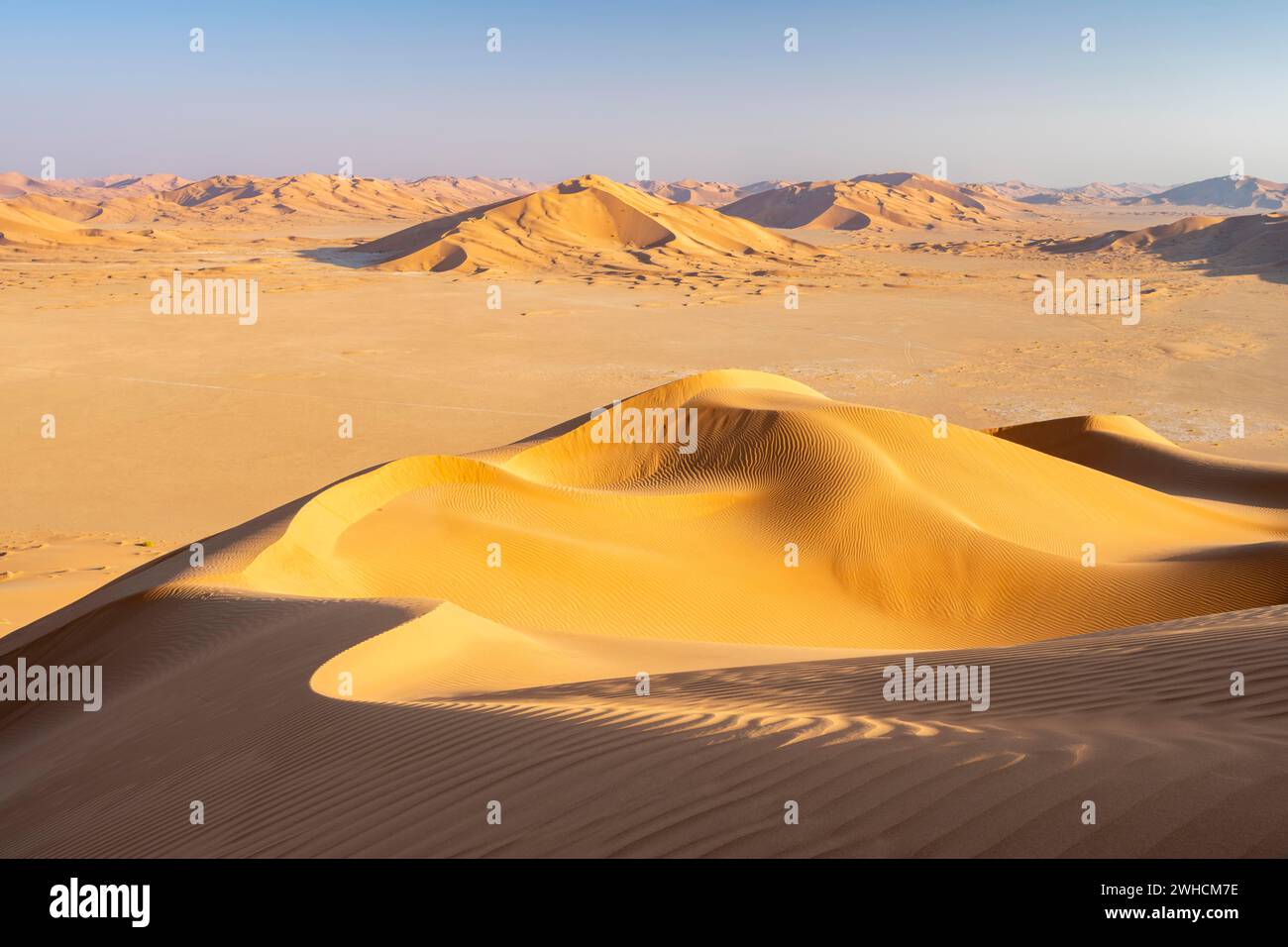 Sand dunes in the Rub Al Khali desert, the world's largest sand desert ...