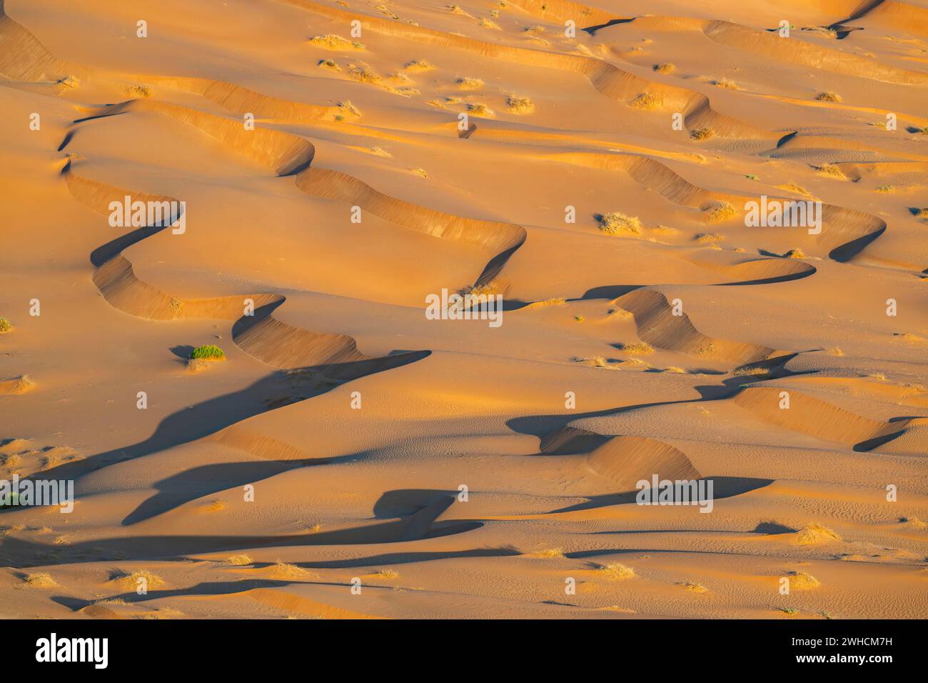 Sand dunes in the Rub Al Khali desert, the world's largest sand desert ...