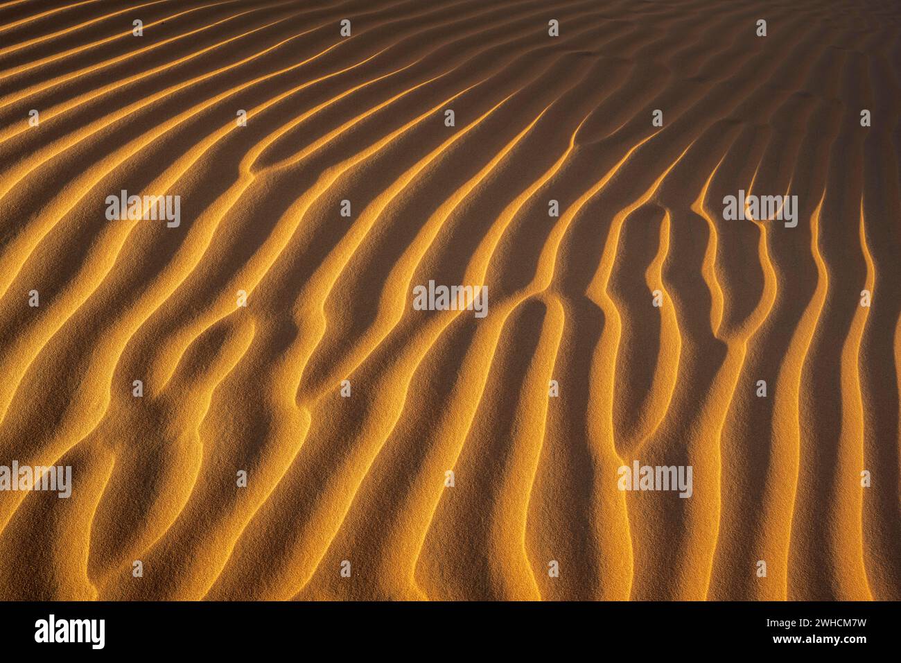 Sand structures, Rub Al Khali desert, largest sand desert on earth ...