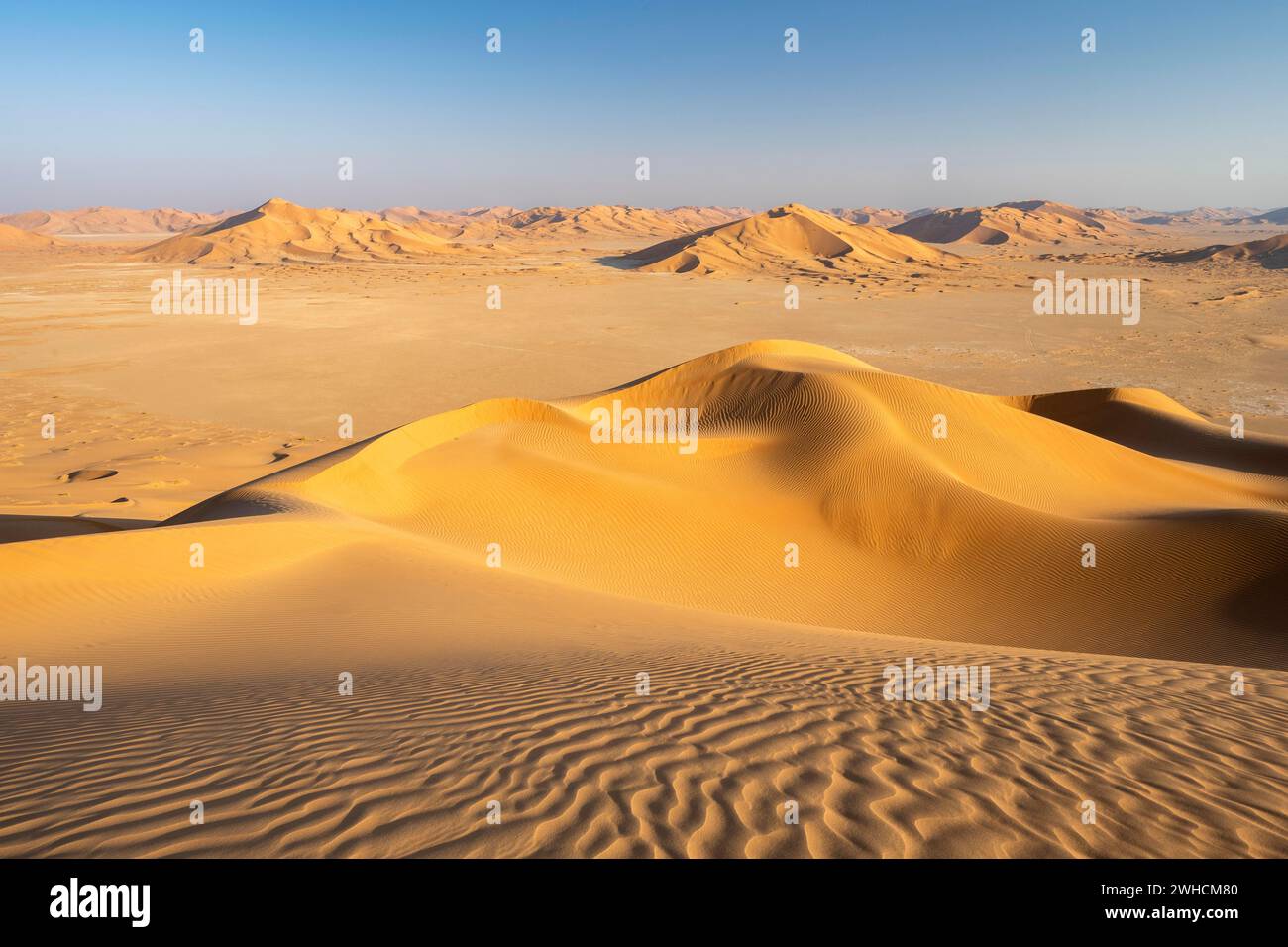 Sand dunes in the Rub Al Khali desert, the world's largest sand desert ...