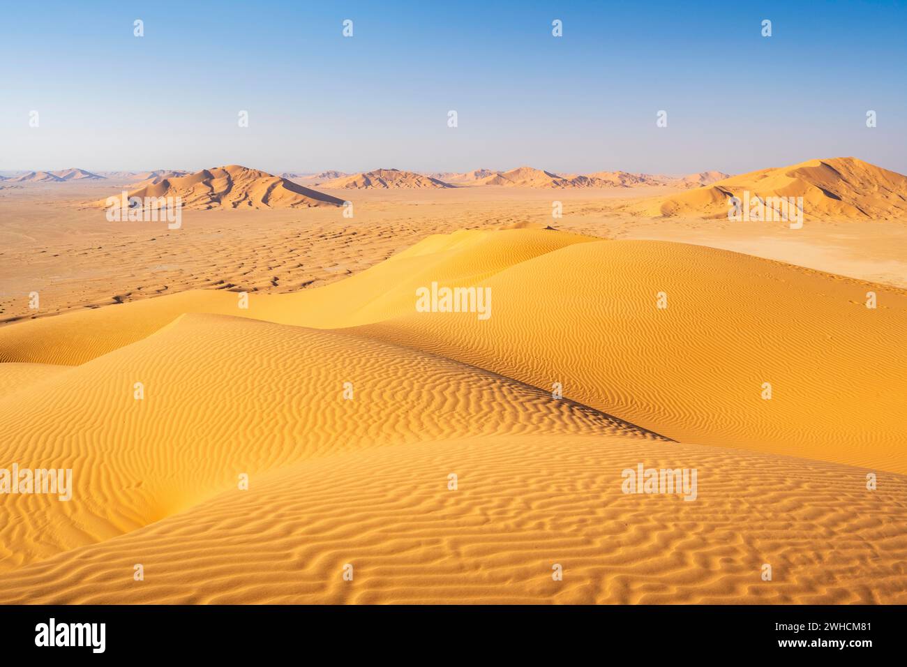 Sand dunes in the Rub Al Khali desert, the world's largest sand desert ...