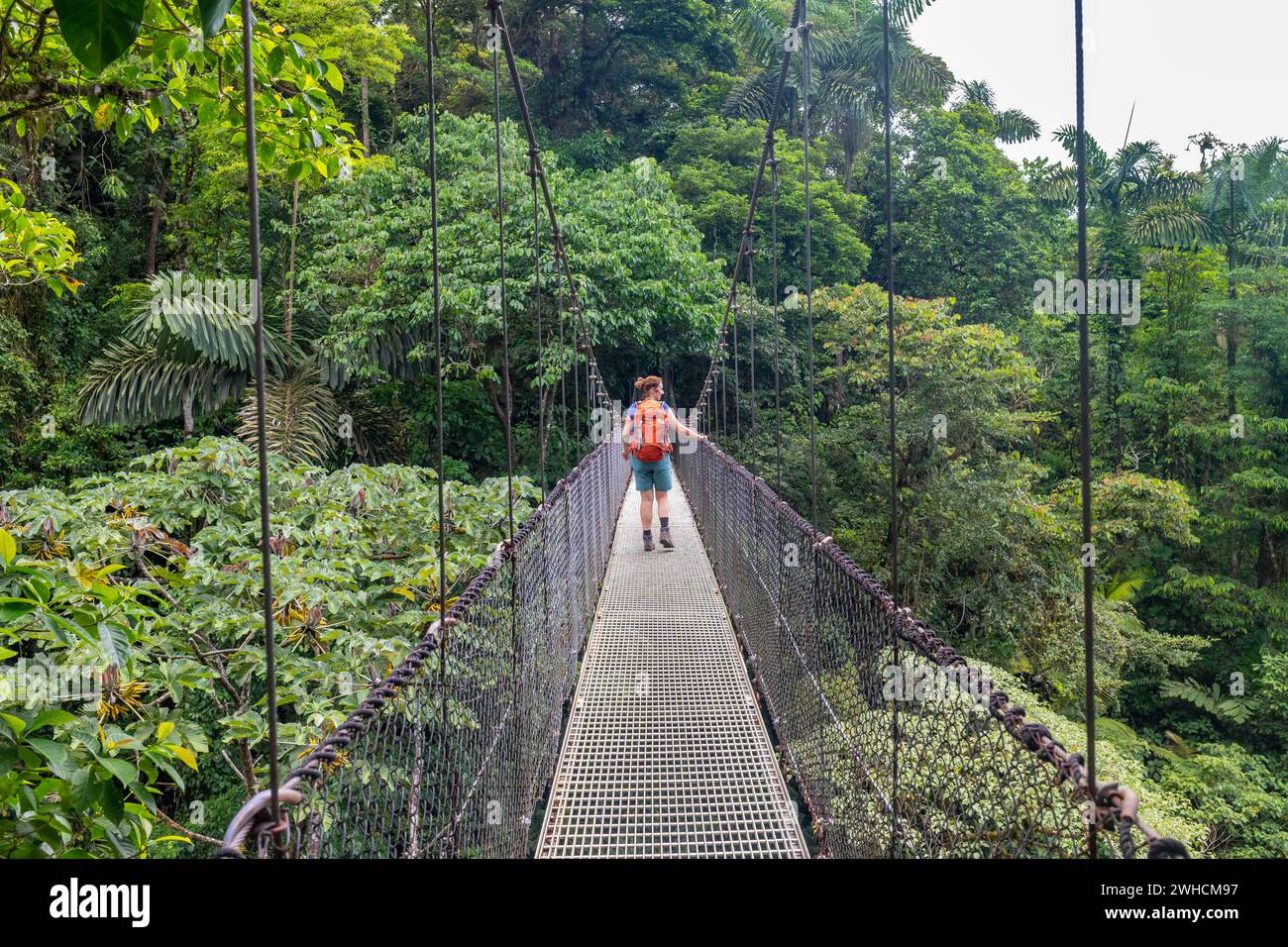 Suspension bridge in the jungle, Costa Rica, Central America, Latin ...