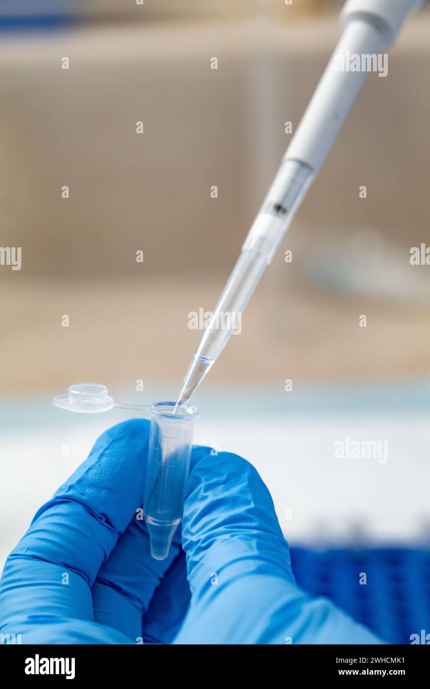 Laboratory analysis dripping light hi-res stock photography and images ...