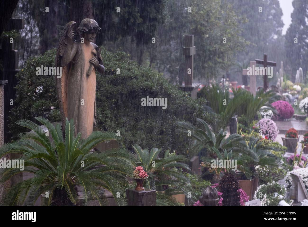 angel of the memorial tomb owned by the Ripoll Ballester family, Soller ...