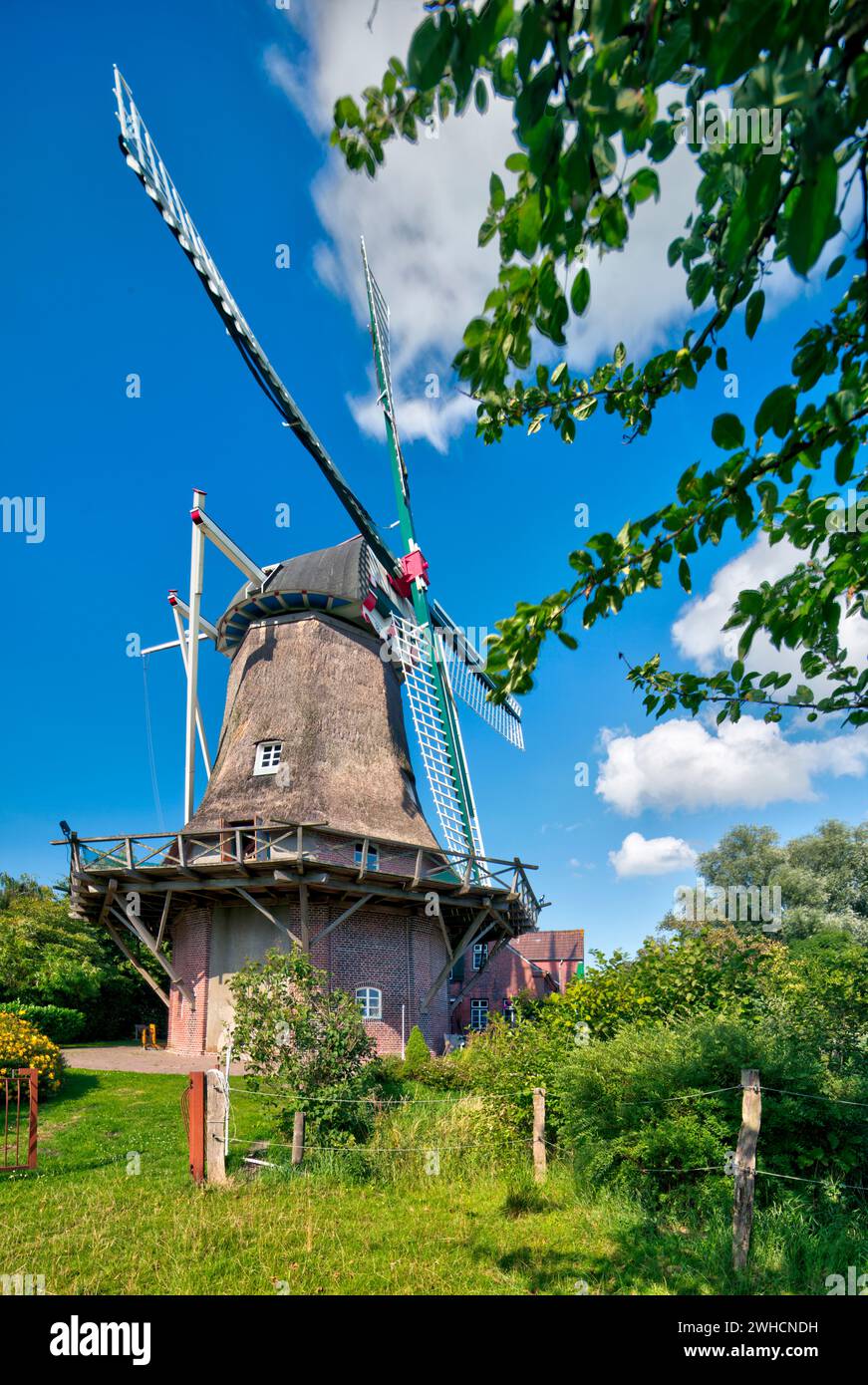 Sengwarder Mühle, windmill, house facade, architecture, town view ...