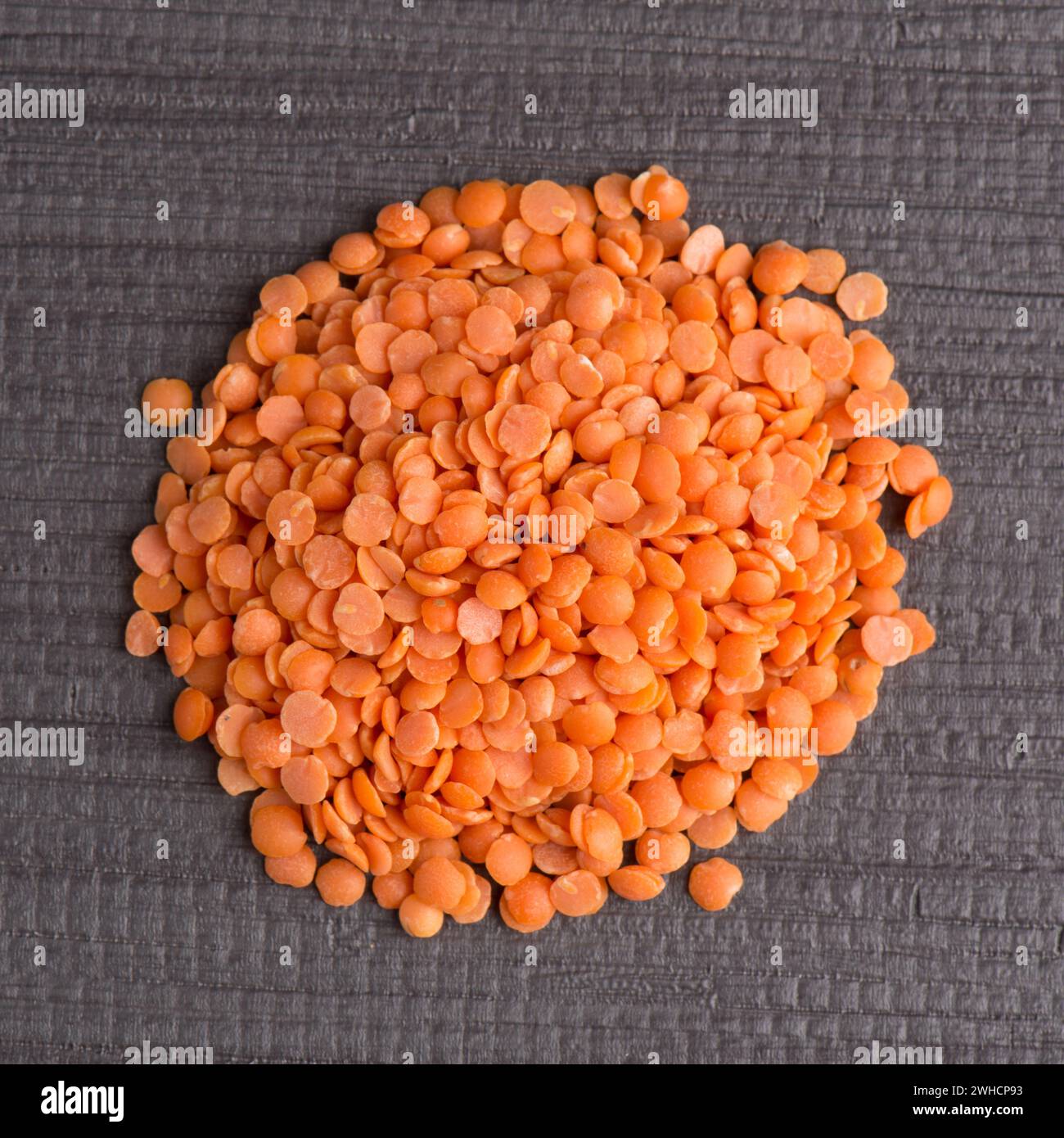 Top view of circle of peeled lentils against grey vinyl background ...