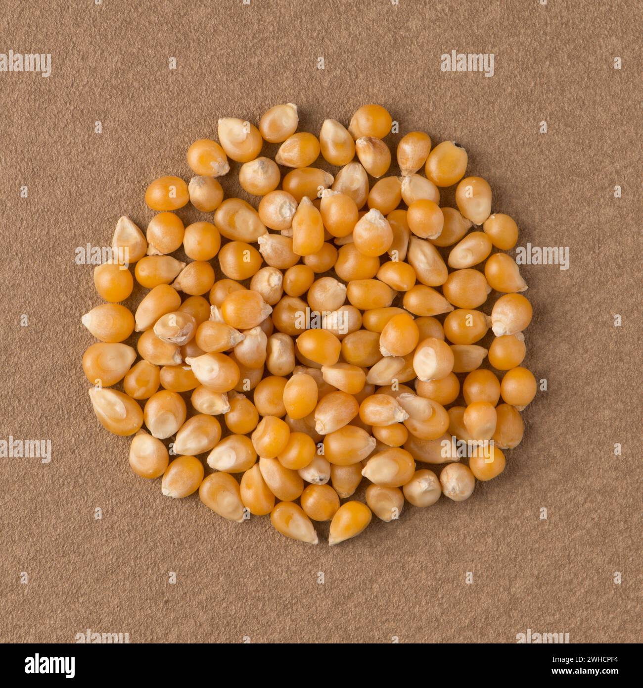 Circle crop hi-res stock photography and images - Alamy