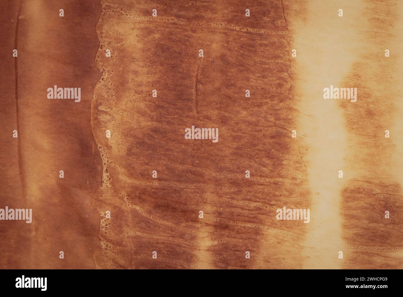 Old paper texture Stock Photo - Alamy