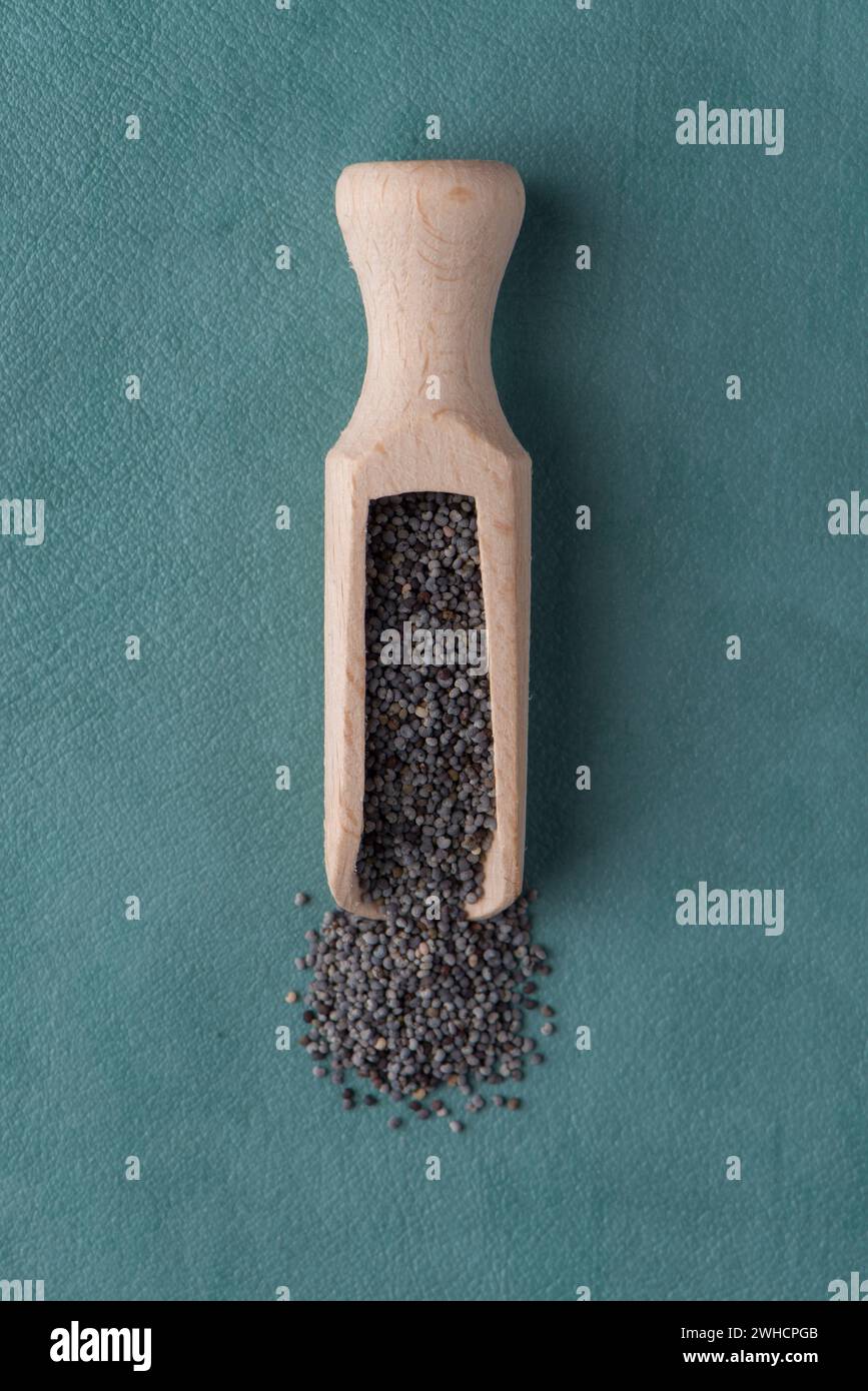 Oilseed poppy hi-res stock photography and images - Alamy