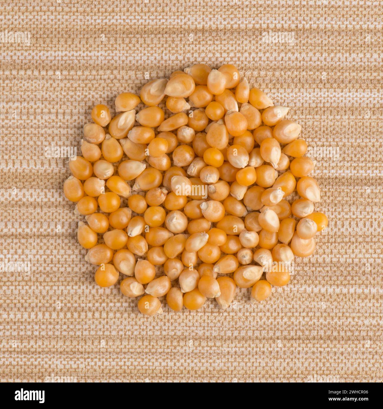 White corn kernels hi-res stock photography and images - Alamy