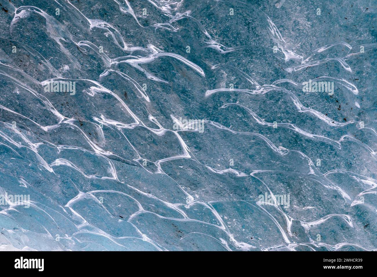 Ice structure of a glacier cave, winter, Morteratsch glacier ...