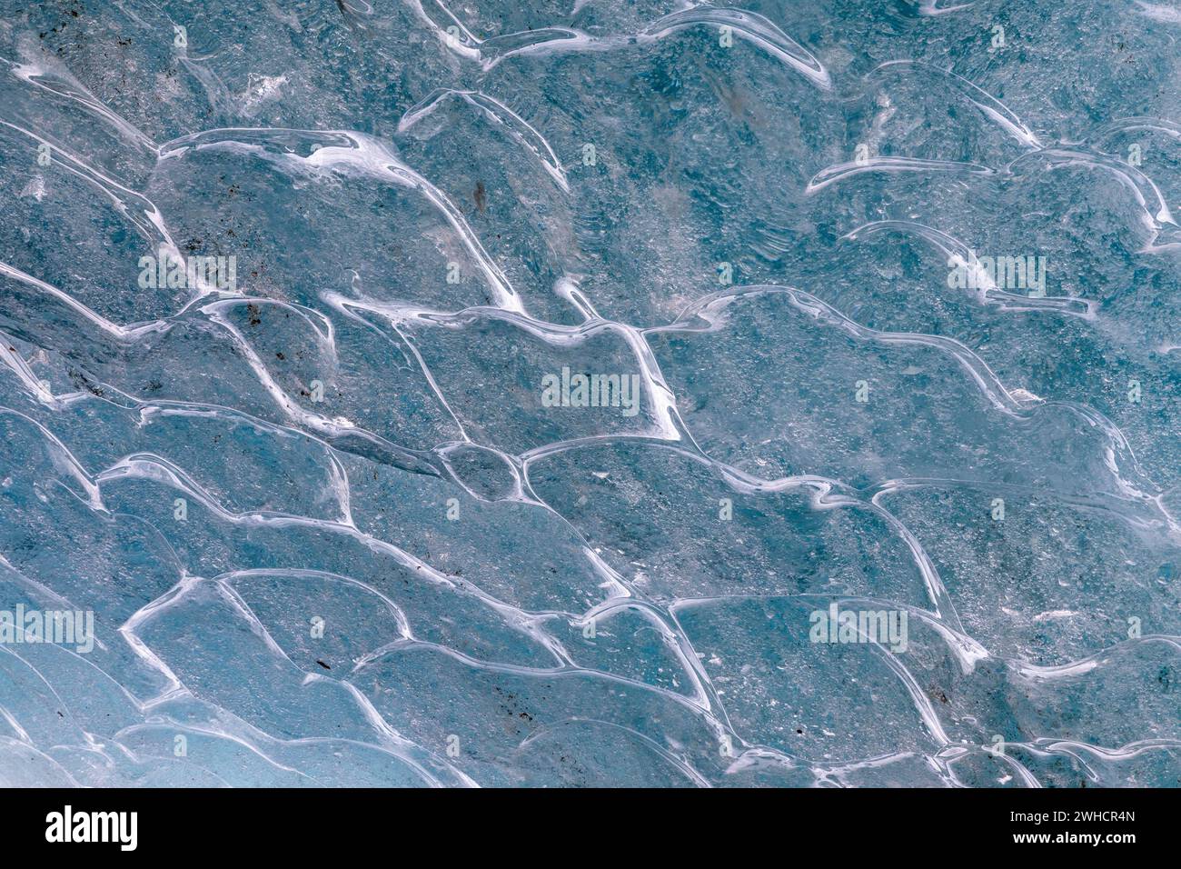 Ice structure of a glacier cave, winter, Morteratsch glacier ...