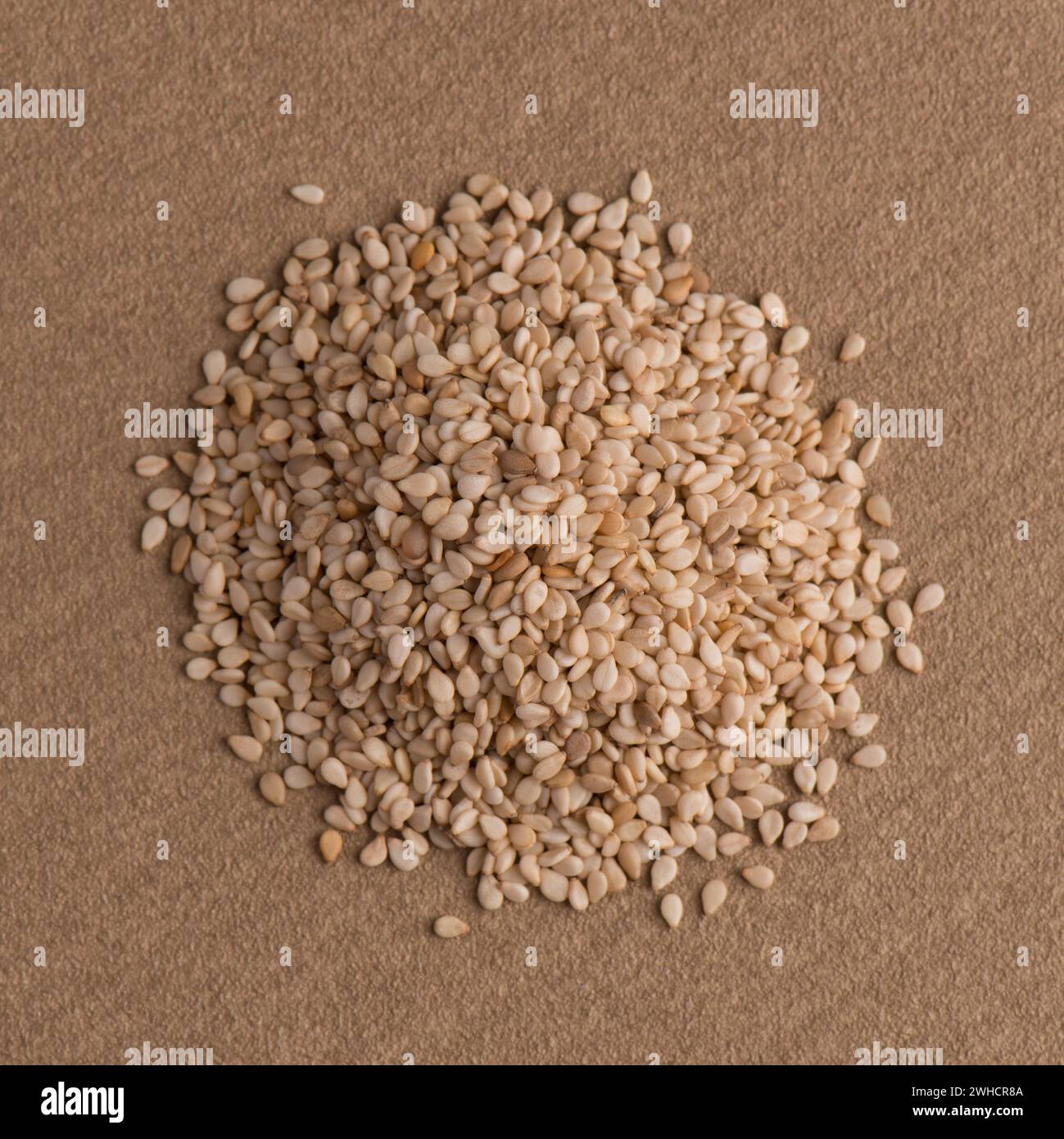 Circle of sesame seeds Stock Photo - Alamy