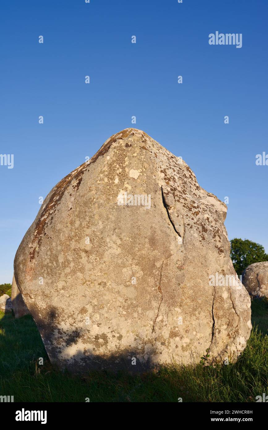 Megalith, Alignements du Menec, Carnac, Department of Morbihan ...
