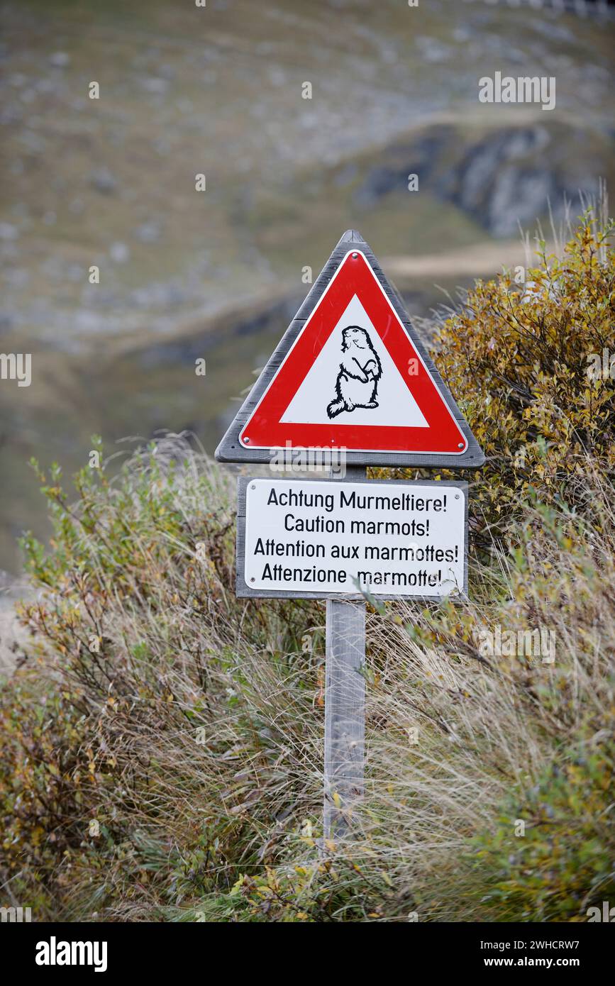 Warning sign 'Attention marmots' on the Grossglockner High Alpine Road ...