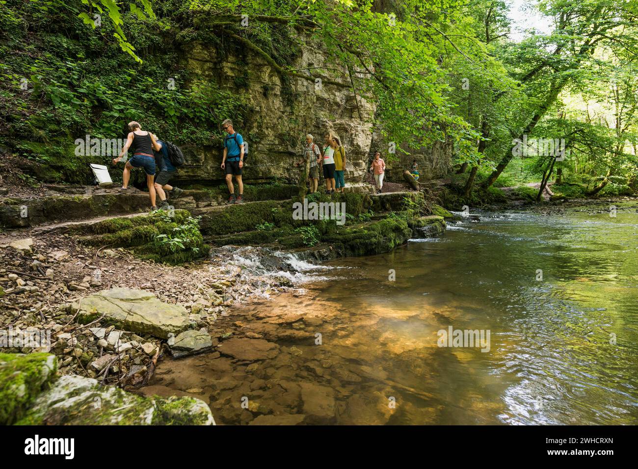 Wutach Gorge, Bonndorf, Baden-Wuerttemberg, Black Forest, Germany Stock ...