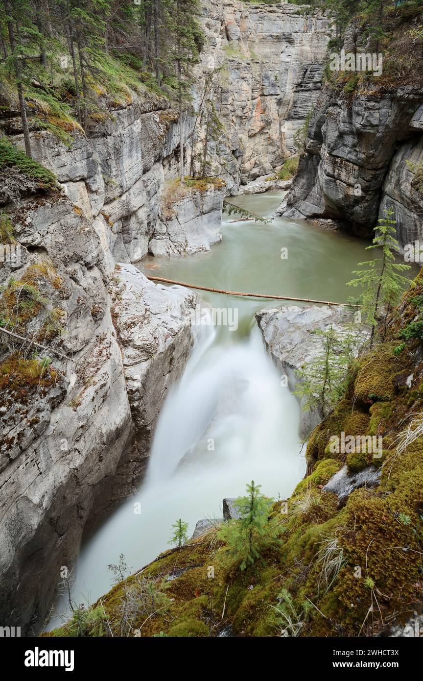 Waterfall, Maligne Canyon, Jasper National Park, Alberta, Canada Stock ...