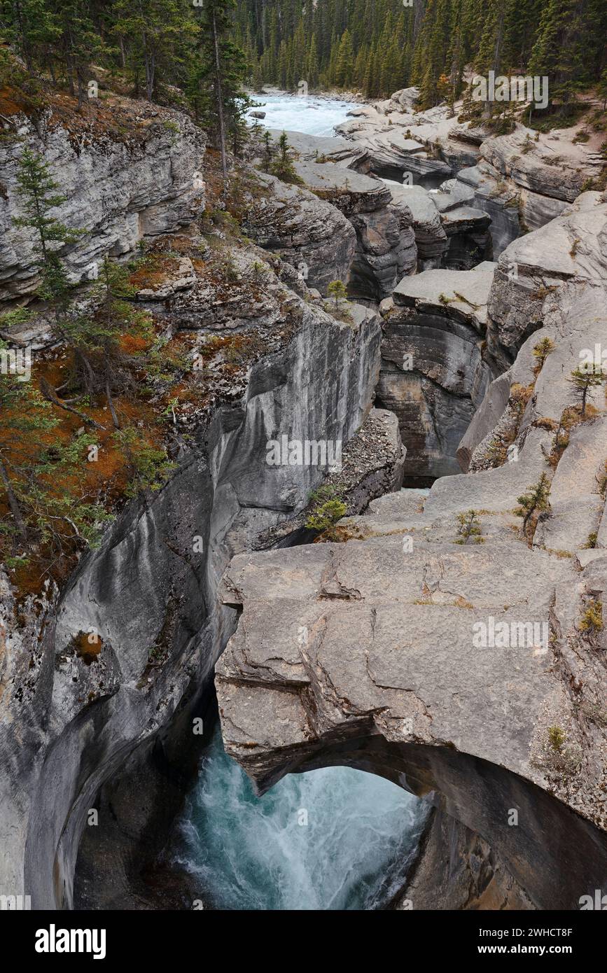 Mistaya River in Mistaya Canyon, Icefields Parkway, Banff National Park ...