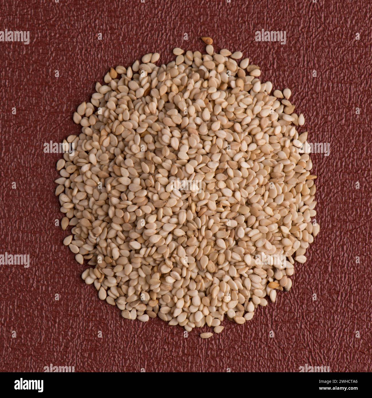Circle of sesame seeds Stock Photo - Alamy