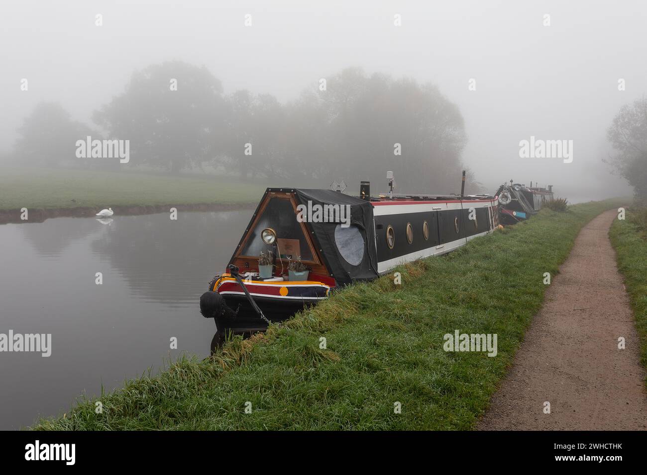 Swan on a towpath hi-res stock photography and images - Alamy