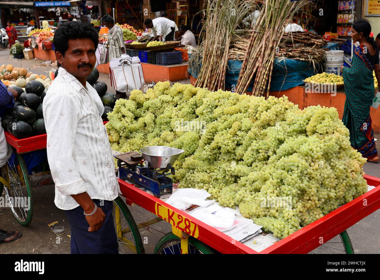 Grapes, stall, Mysore, Karnataka, South India, India Stock Photo - Alamy