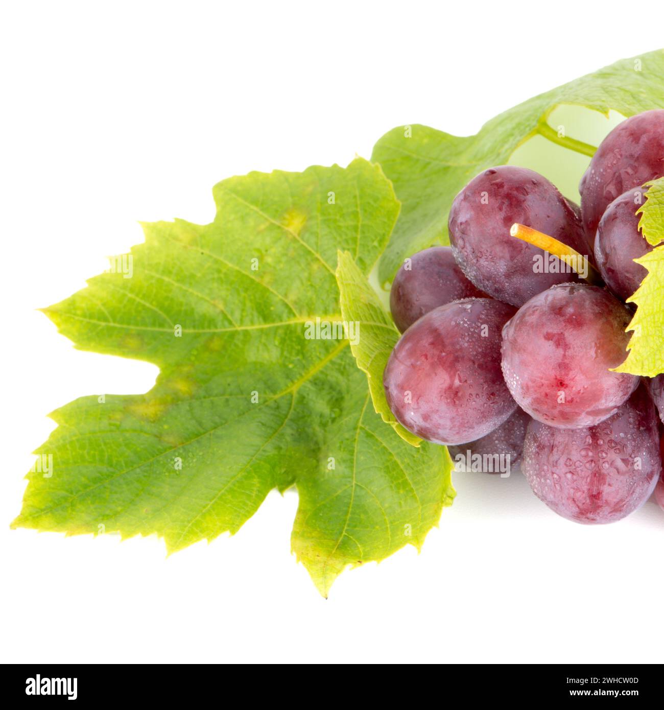 Bunch of red grapes Stock Photo - Alamy