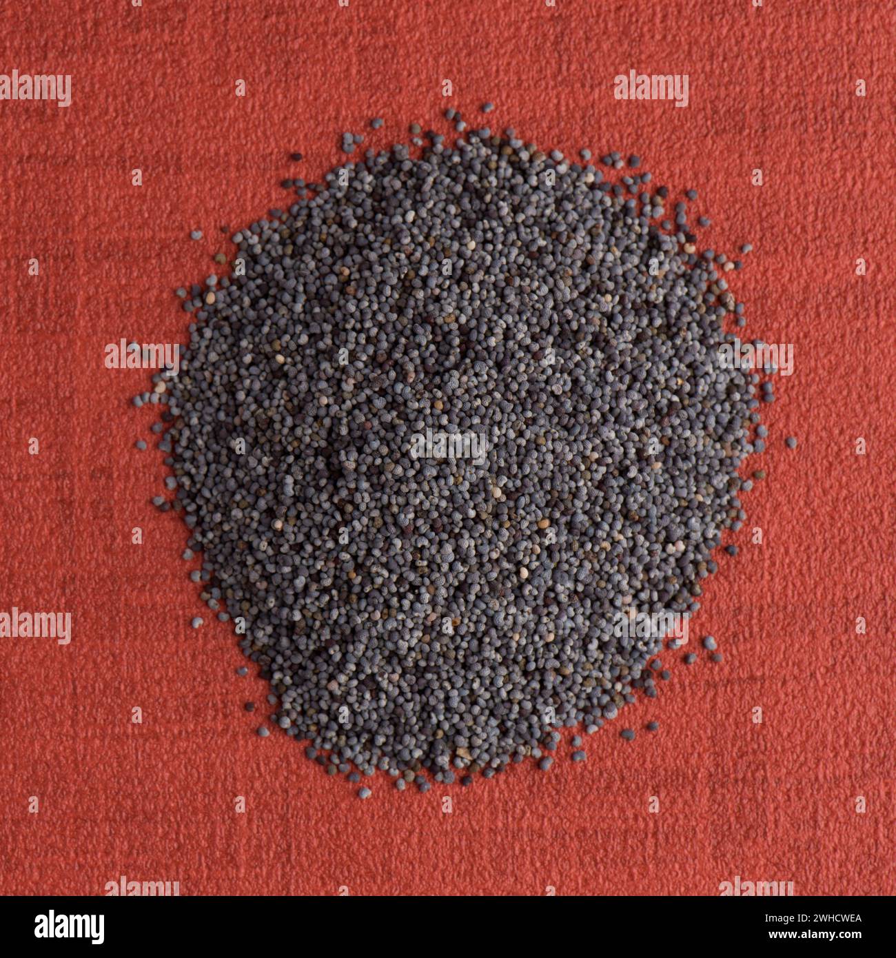 Circle of poppy seeds Stock Photo - Alamy
