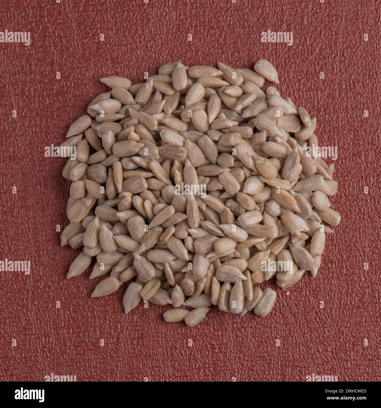 Circle of shelled sunflower seeds Stock Photo - Alamy
