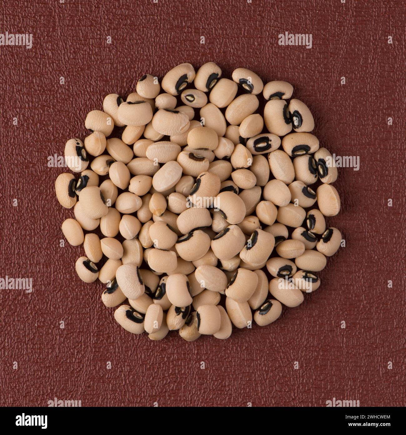Circle of white beans Stock Photo - Alamy