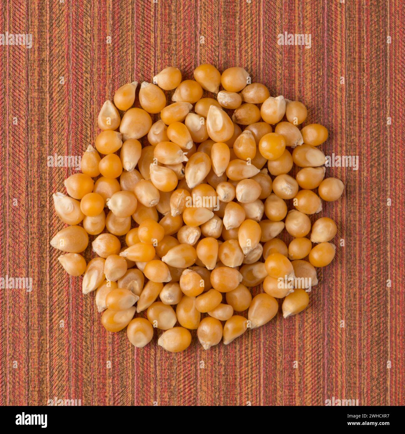 Group corn hi-res stock photography and images - Alamy