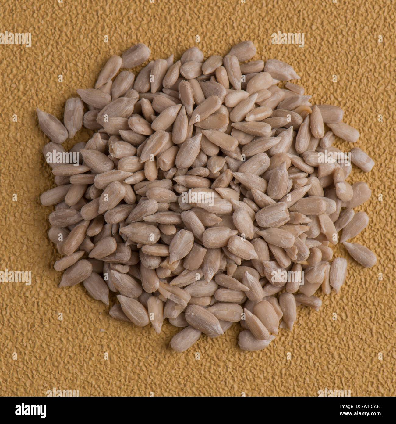 Circle of shelled sunflower seeds Stock Photo - Alamy