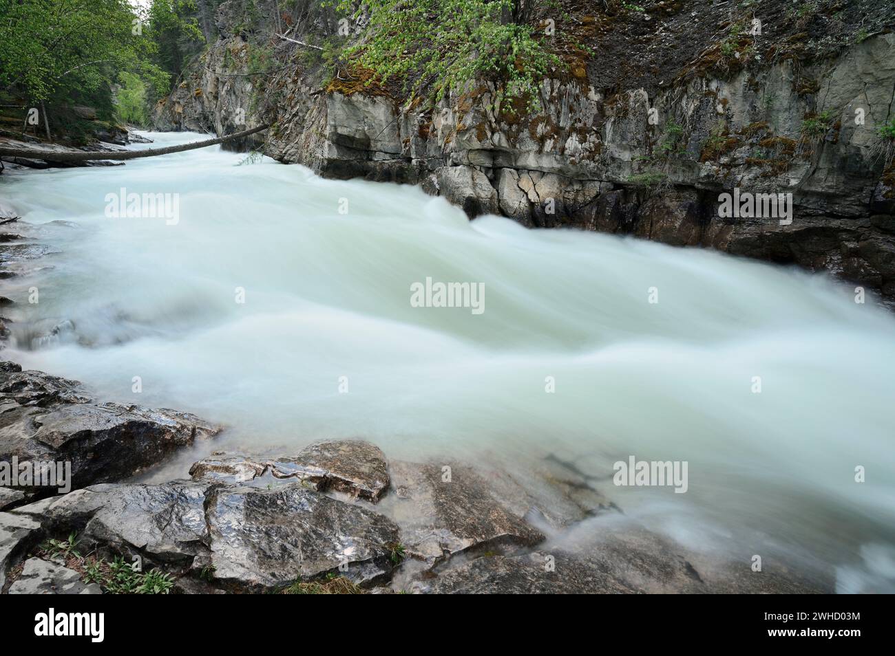 Maligne River at Maligne Canyon, Jasper National Park, Alberta, Canada ...