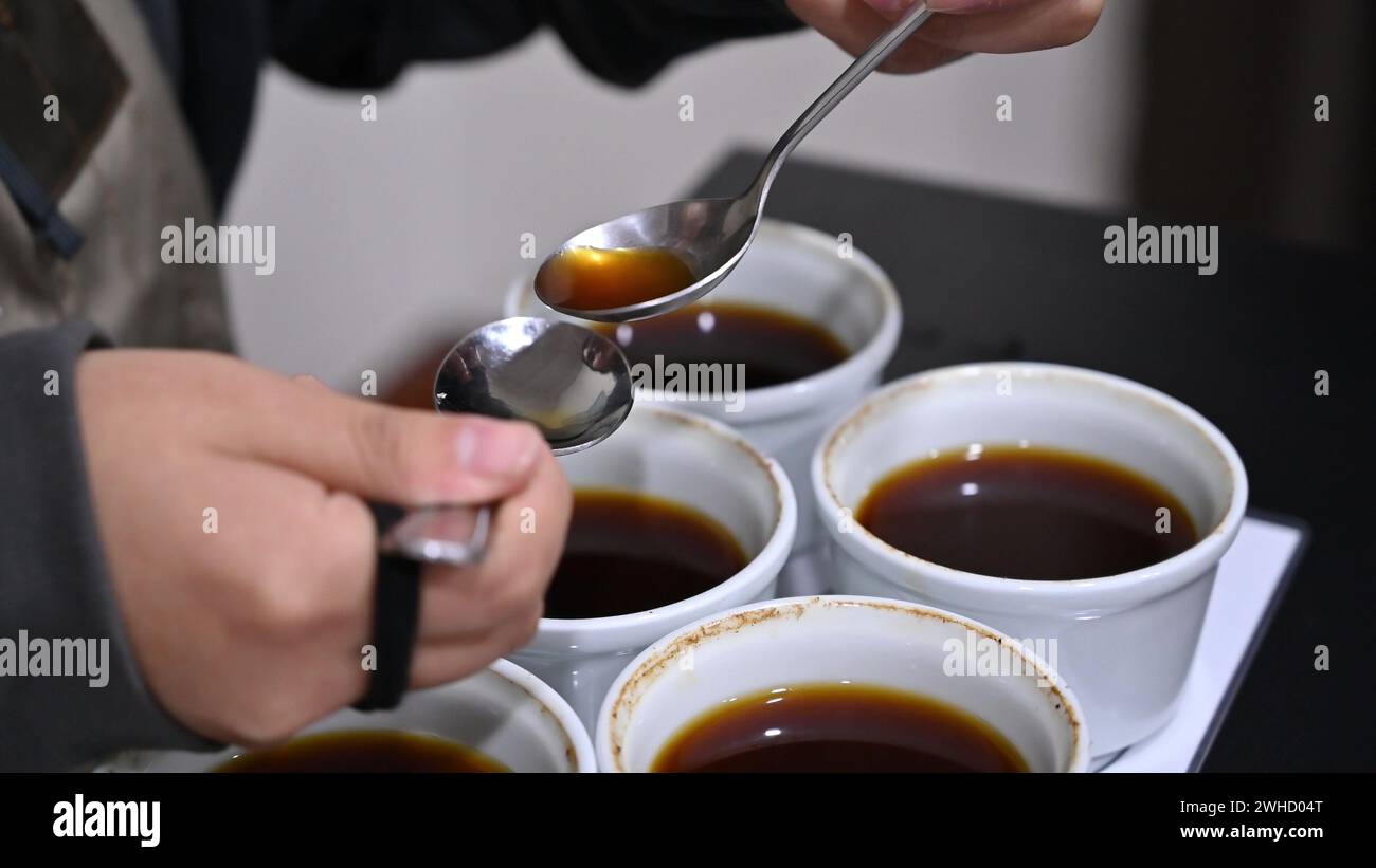 Professional barista tasting different types of coffee in cup tasters ...
