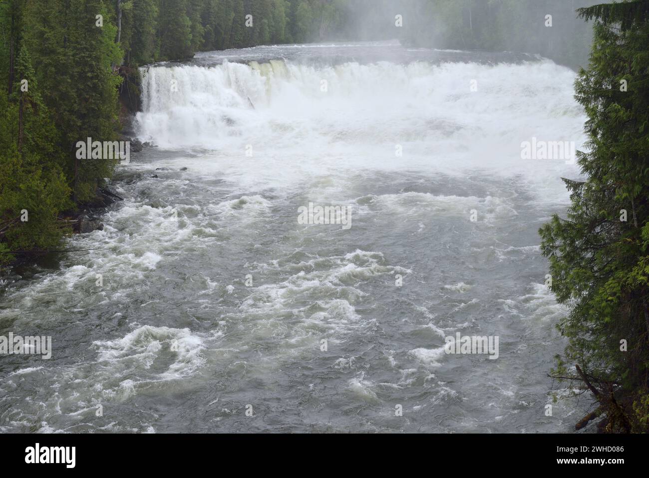 Dawson river conservation park hi-res stock photography and images - Alamy