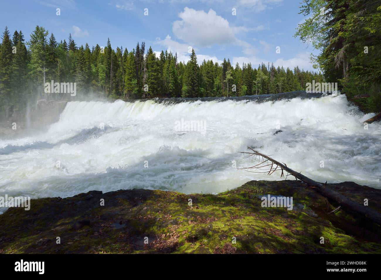 Dawson Falls waterfall, Murtle River, Wells Gray Provincial Park ...