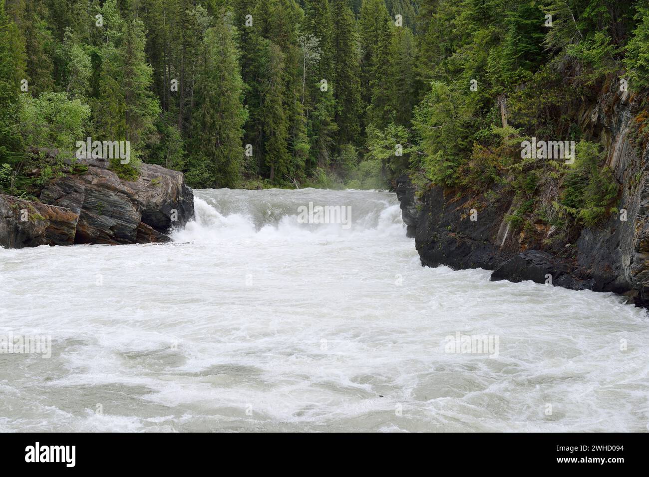 Overlander Falls waterfall, Fraser River, Mount Robson Provincial Park ...