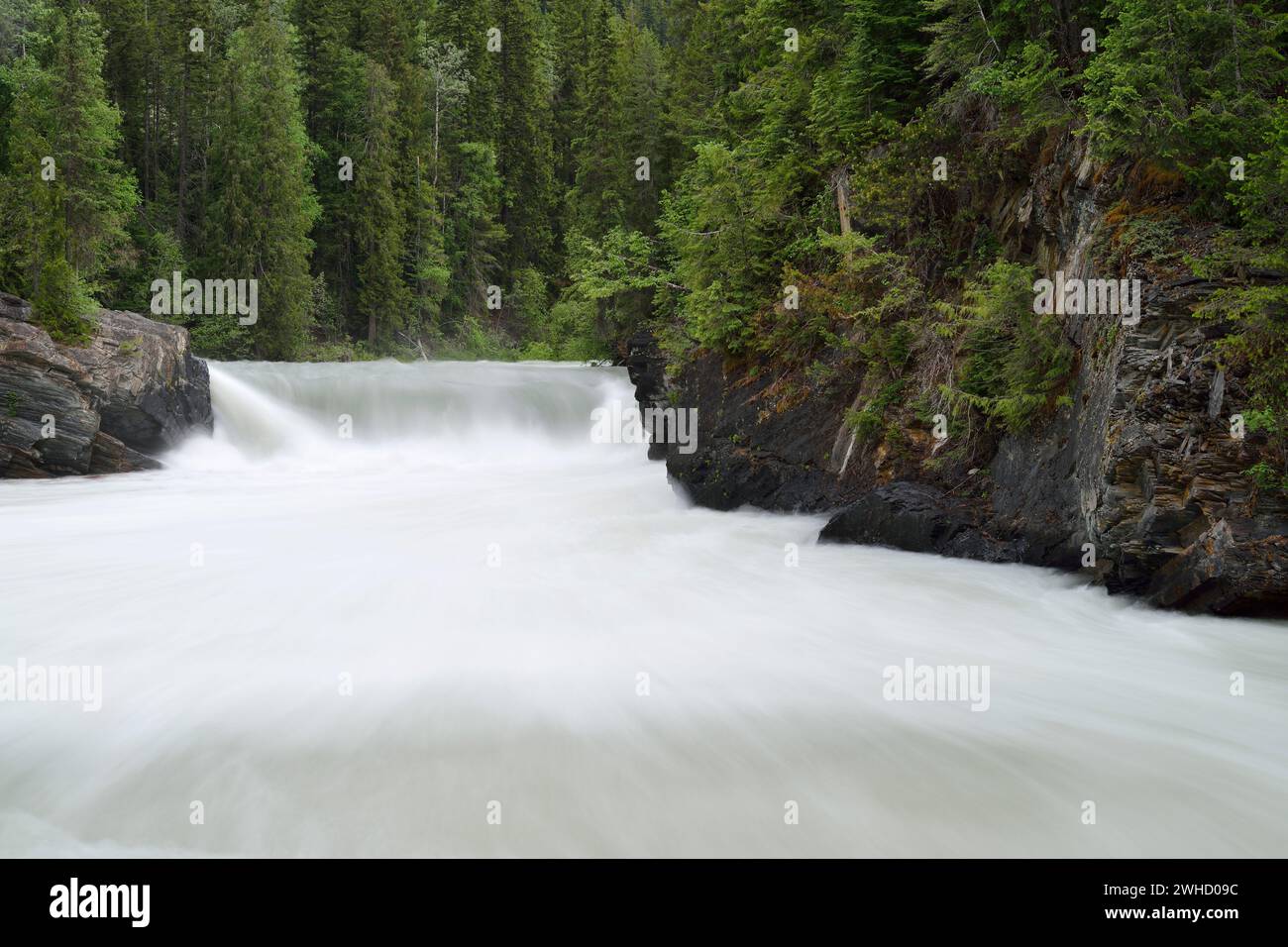 Overlander Falls waterfall, Fraser River, Mount Robson Provincial Park ...