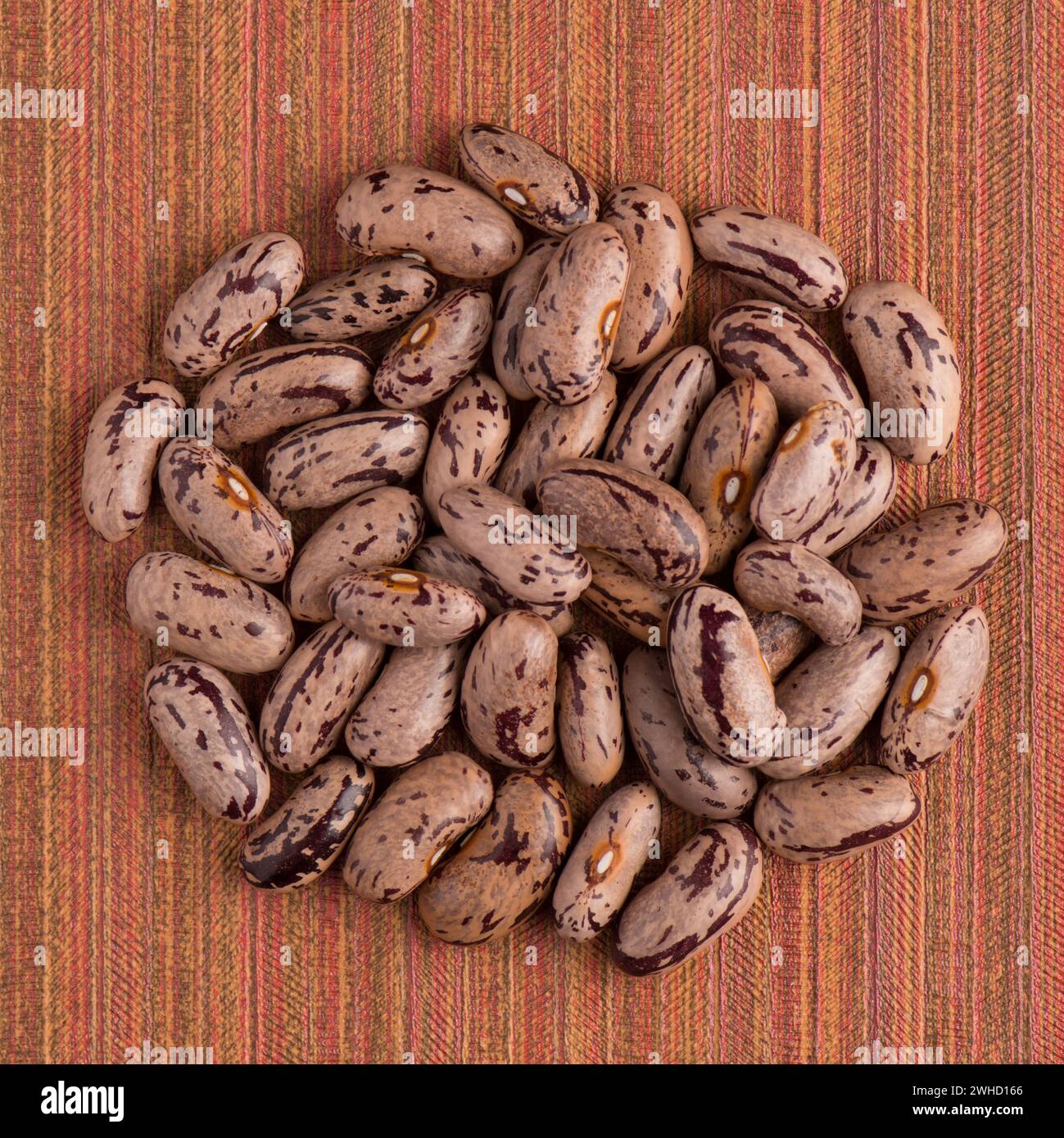 Circle of pinto beans Stock Photo - Alamy