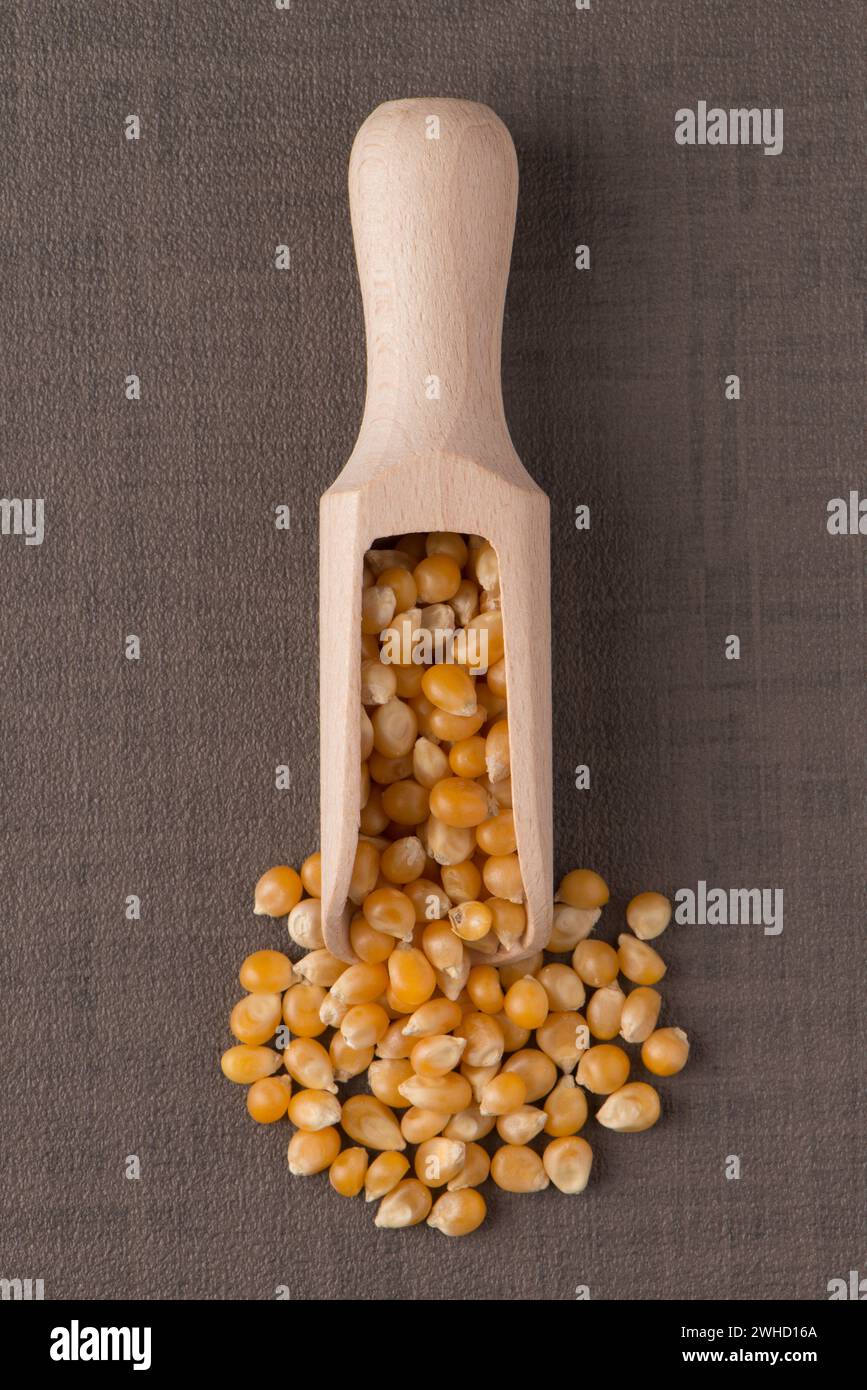 Wooden scoop with corn Stock Photo - Alamy