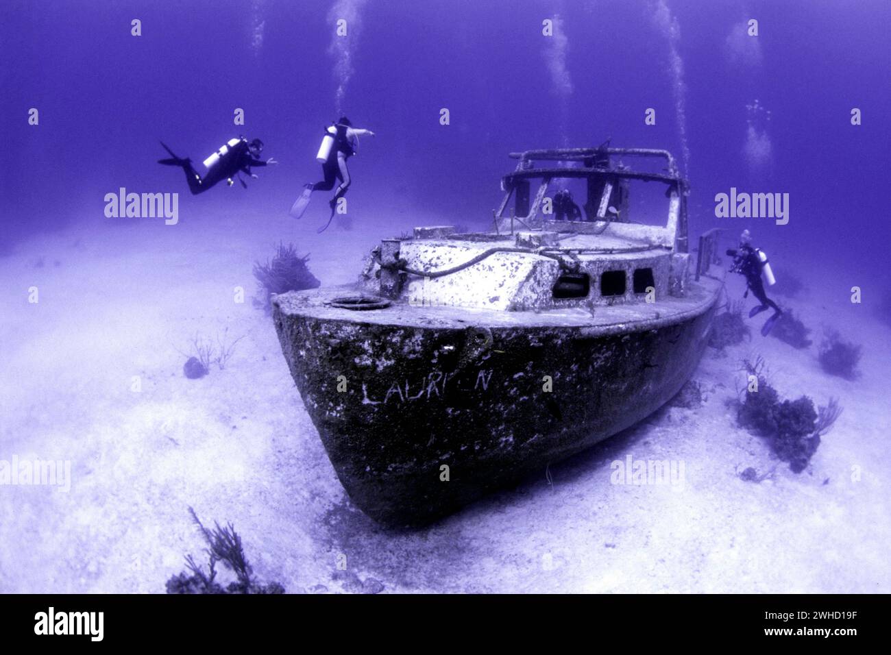 Diving in the Caribbean, Sunken yacht, Caribbean, Central America Stock ...