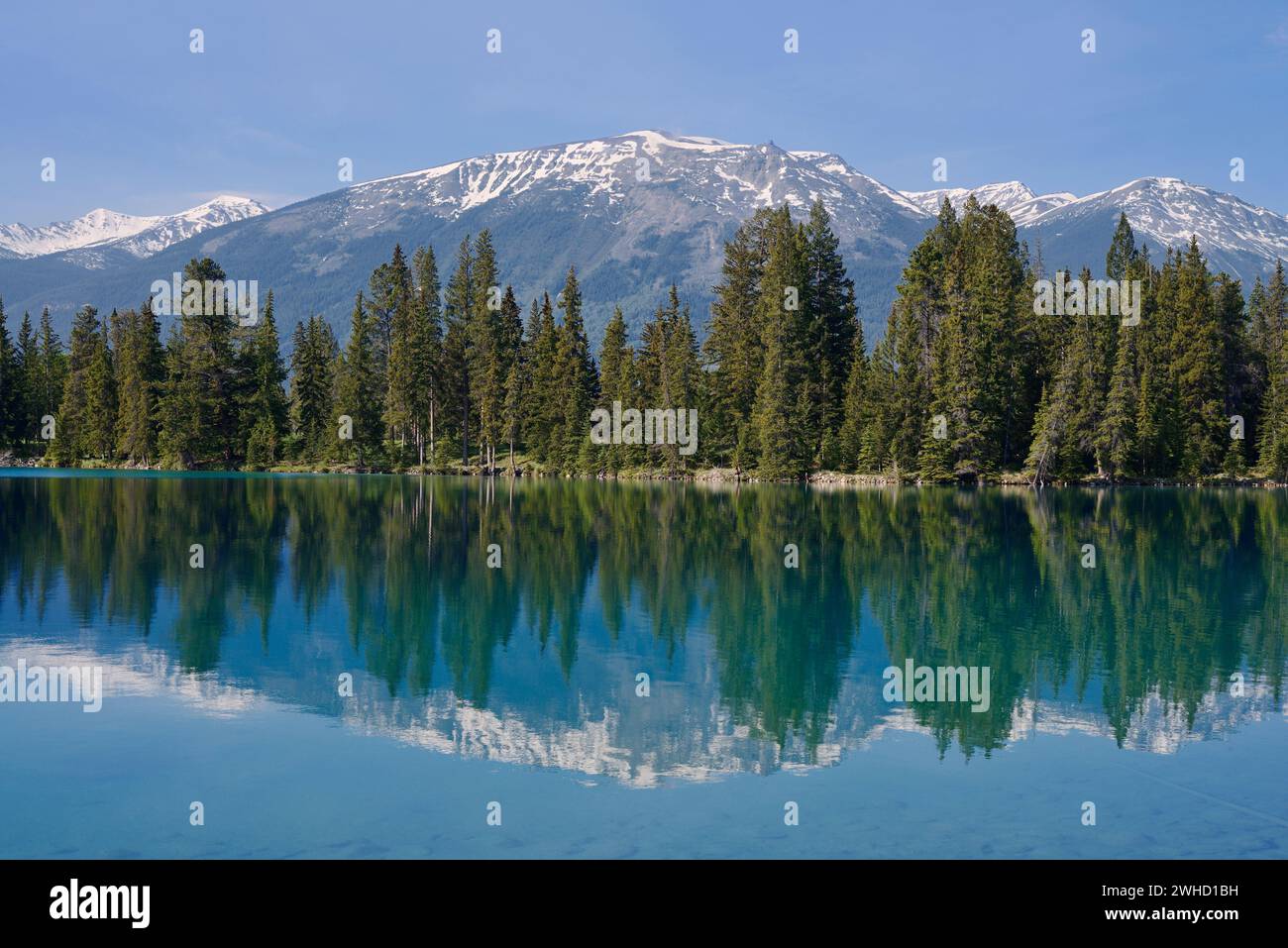 Lake Lac Beauvert, Jasper National Park, Alberta, Canada Stock Photo ...